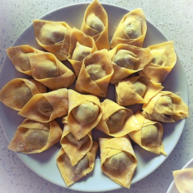 Chicken & Prawn Won Tons – hare & tortoise kitchen